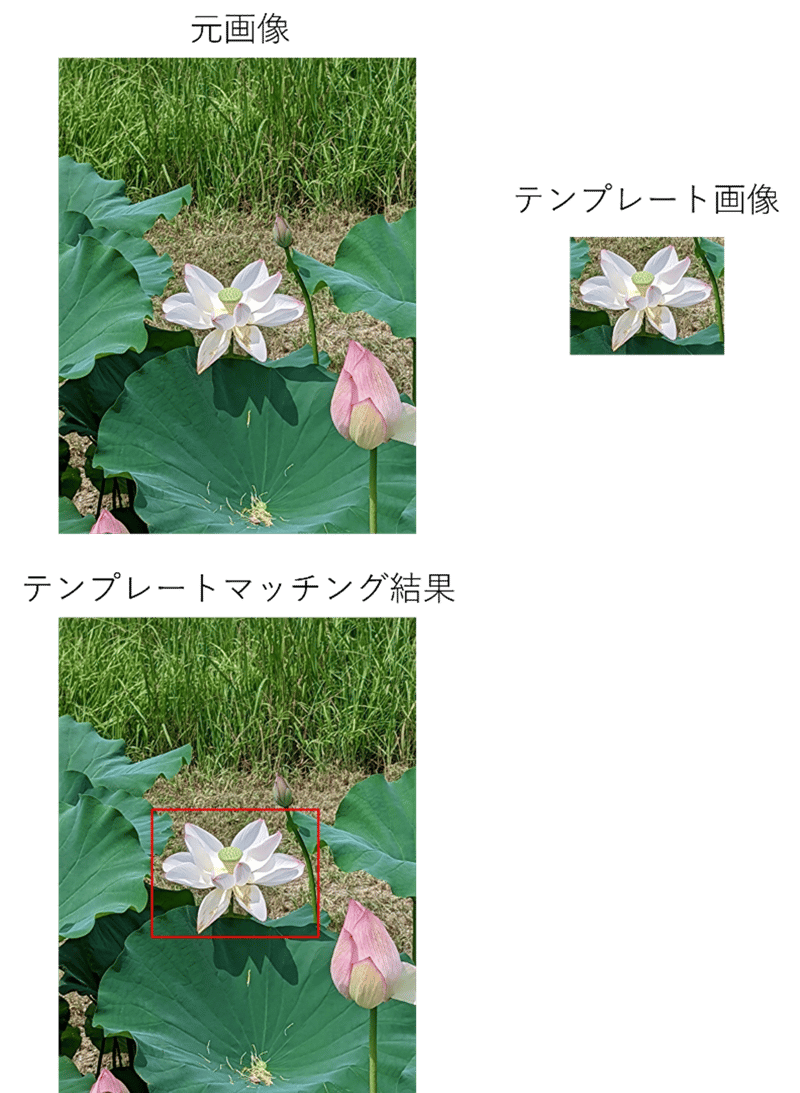 「基礎から学ぶ医療・科学分野で活用される、OpenCVによる画像認識技術」第1回 画像認識技術の概要とテンプレートマッチングについての解説