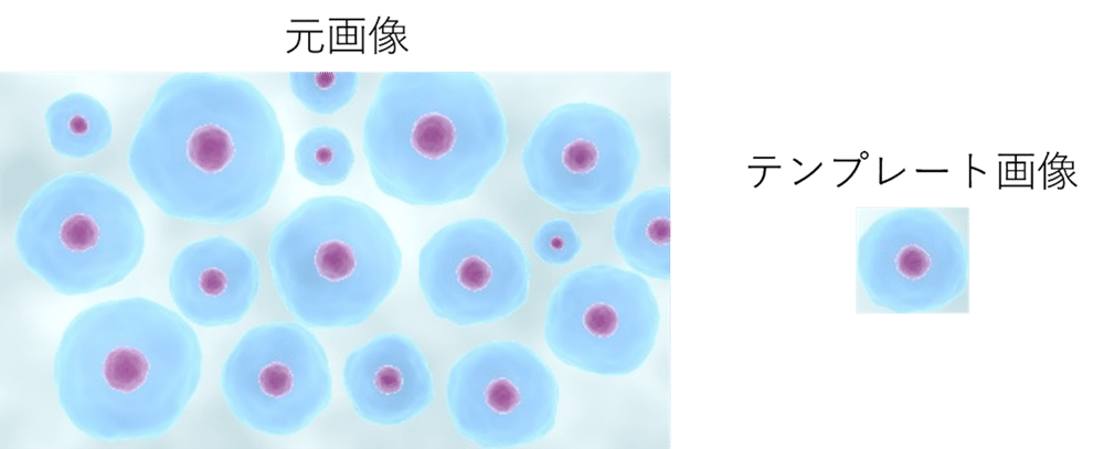 「基礎から学ぶ医療・科学分野で活用される、OpenCVによる画像認識技術」第1回 画像認識技術の概要とテンプレートマッチングについての解説