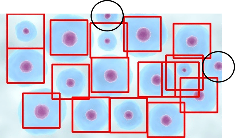 「基礎から学ぶ医療・科学分野で活用される、OpenCVによる画像認識技術」第1回 画像認識技術の概要とテンプレートマッチングについての解説